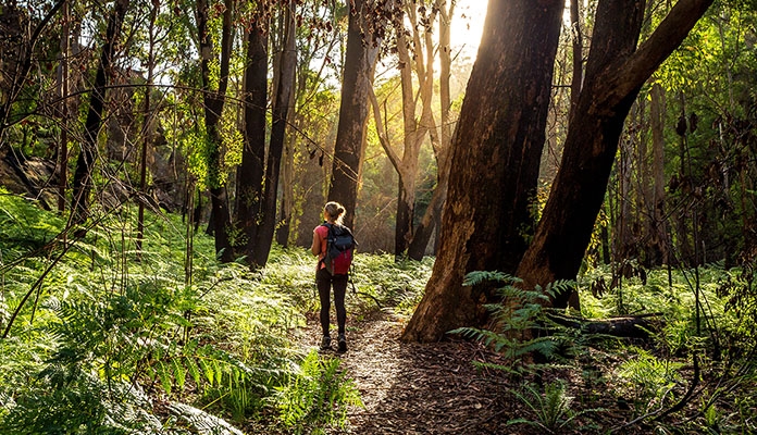 Explore | Regional Data Hub